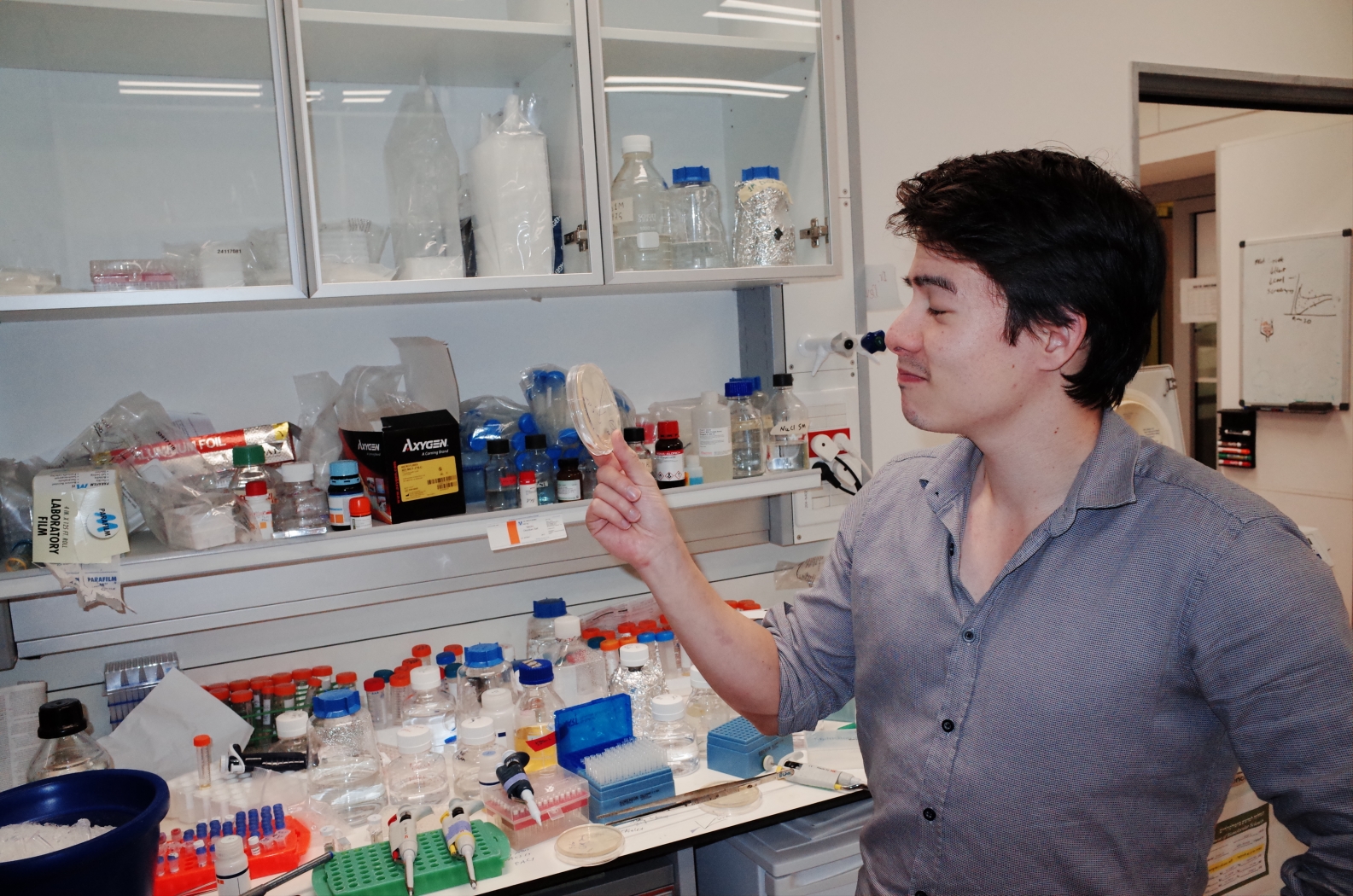 Lab Tour | Dan S. Tawfik Group Site | קבוצת פרופ׳ דן תאופיק