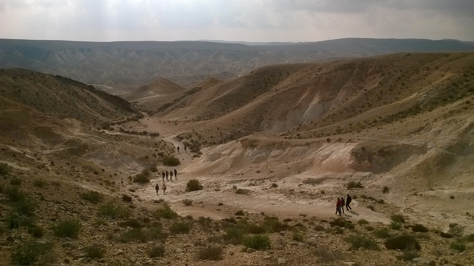 Lab Tour | Dan S. Tawfik Group Site | קבוצת פרופ׳ דן תאופיק