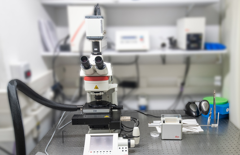Cryo CLEM Fluorescence Microscope (Leica) | Chemical Research Support