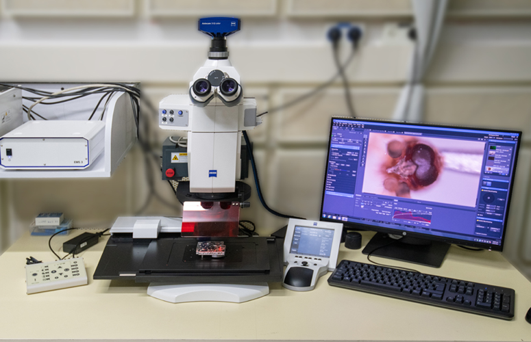 Instrumentation | Chemical Research Support