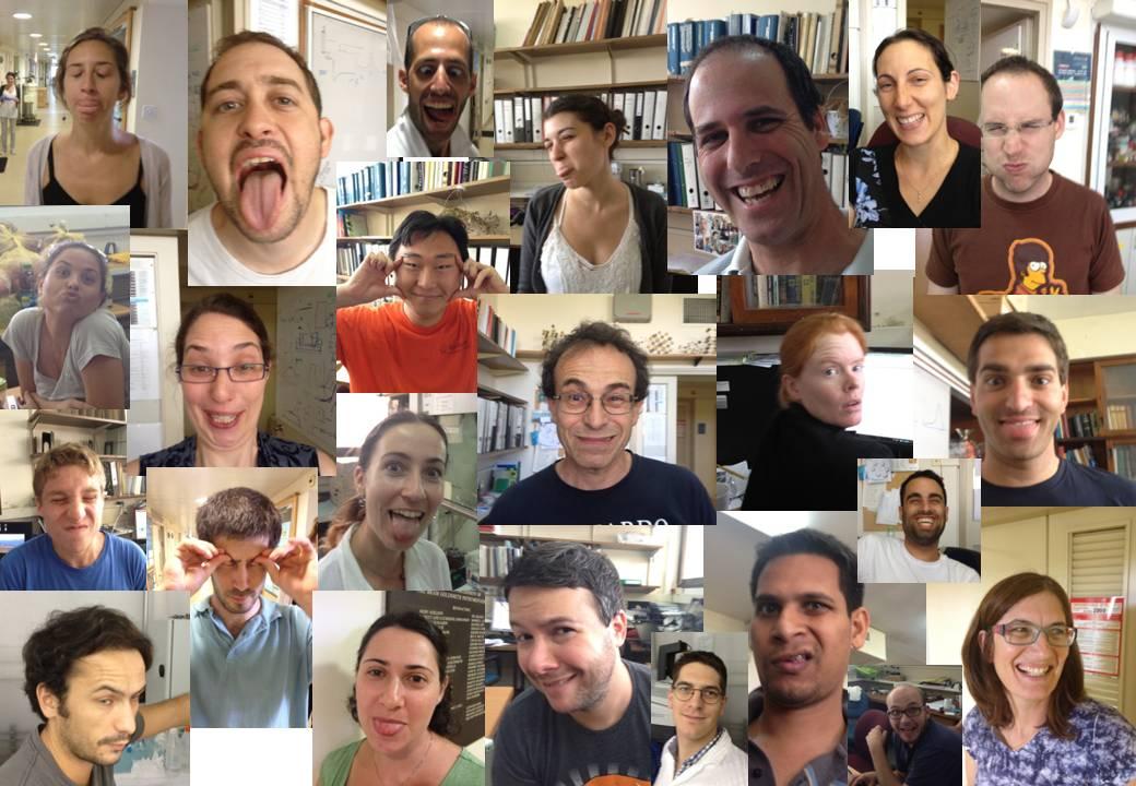 Gallery Album | Prof. David Cahen