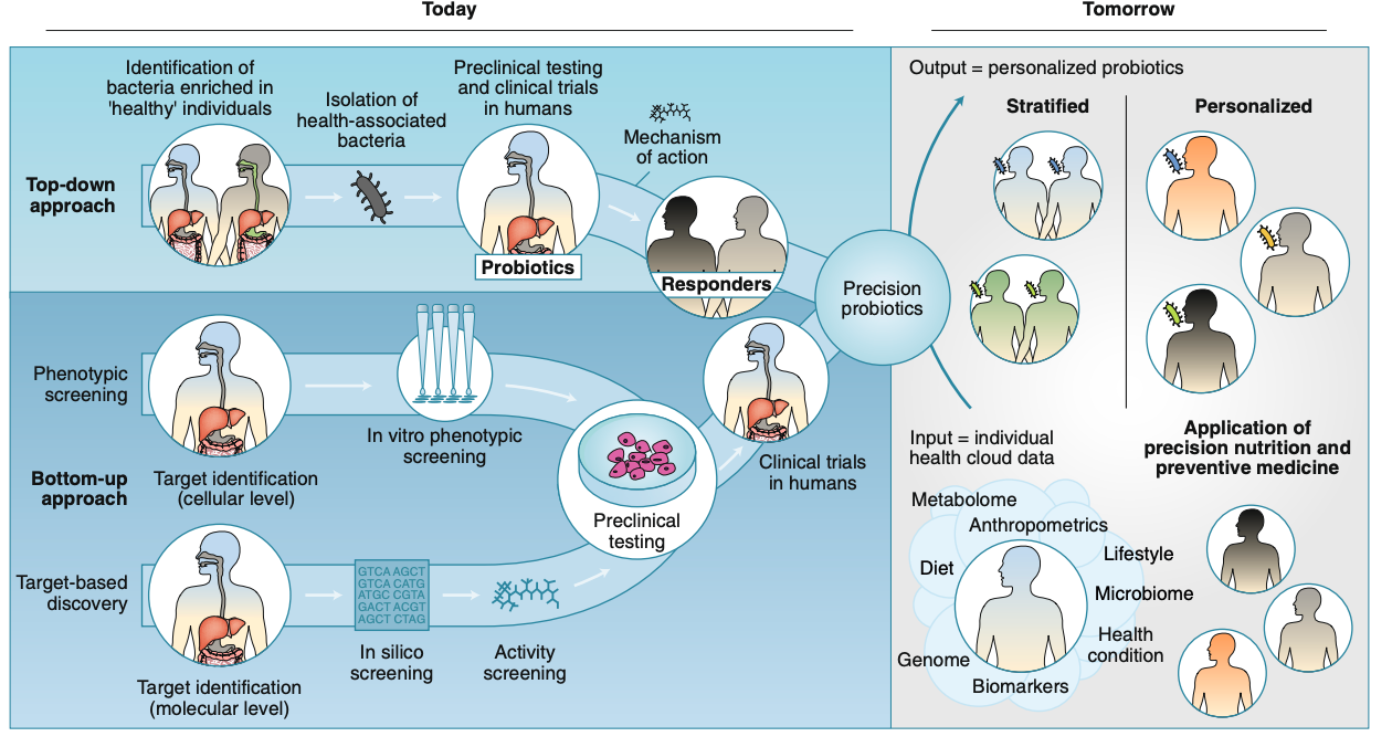 Moving from probiotics to precision probiotics | Elinav Lab