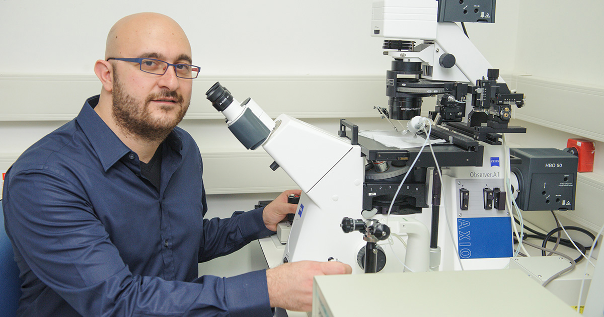 Model human embryos grown from stem cells | Weizmann Impact 2023