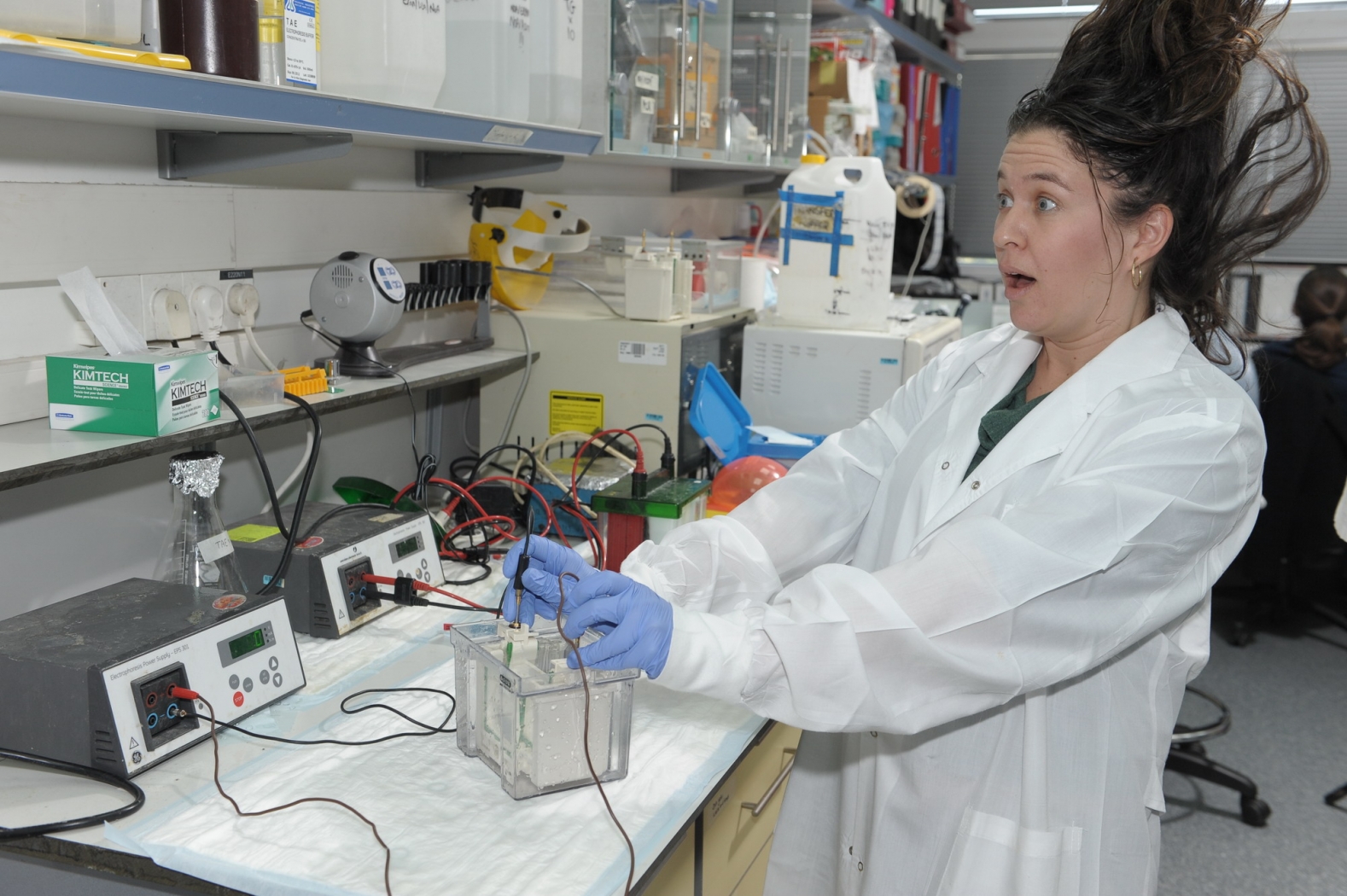 Experimental Death in Real Life | Adi Kimchi Lab