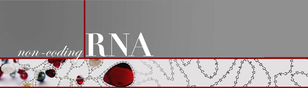 About Us | non-coding RNA