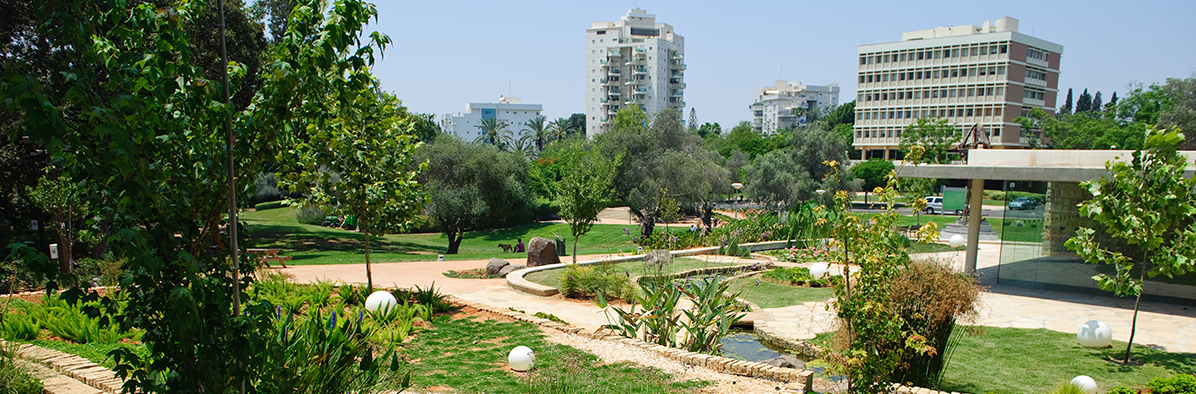 Contact our worldwide committees | Weizmann Institute of Science