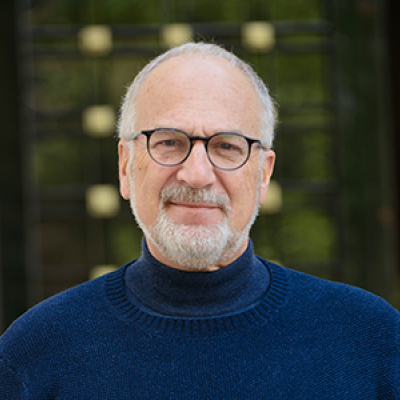 Prof. David Harel | Weizmann Institute of Science