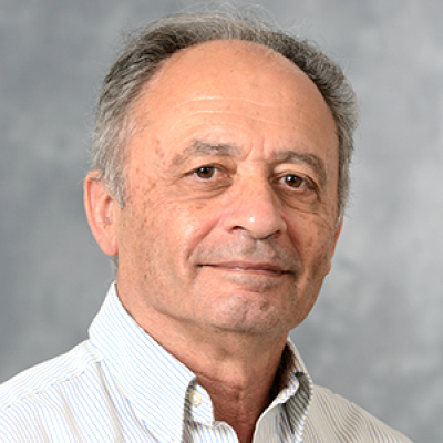 Prof. David Milstein | Weizmann Institute of Science