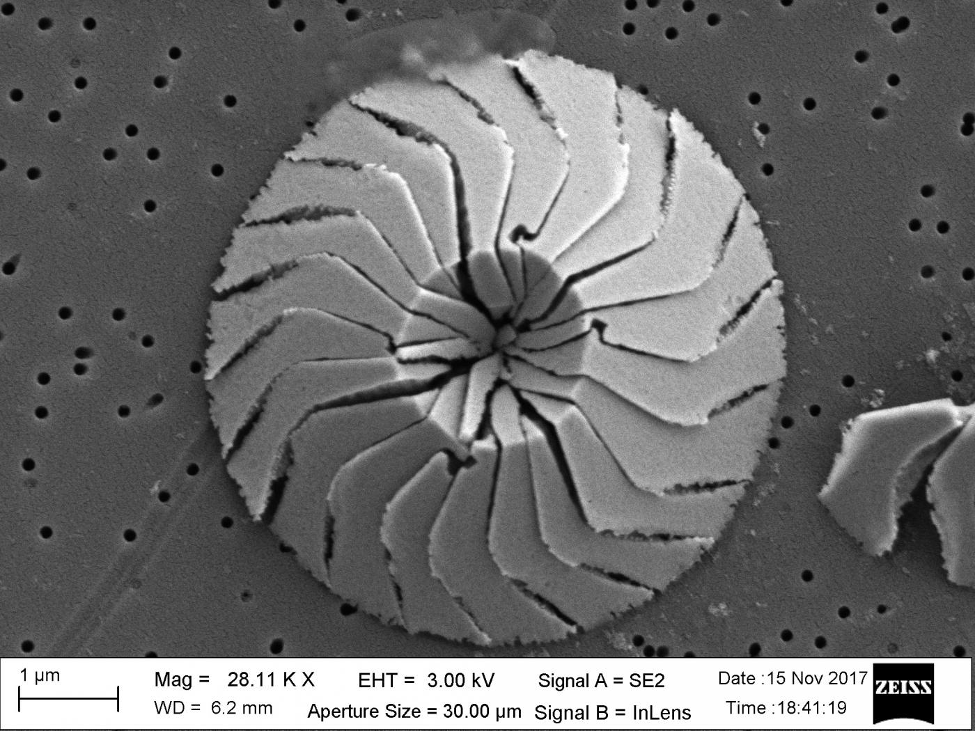World of coccoliths | Materials of the Ocean